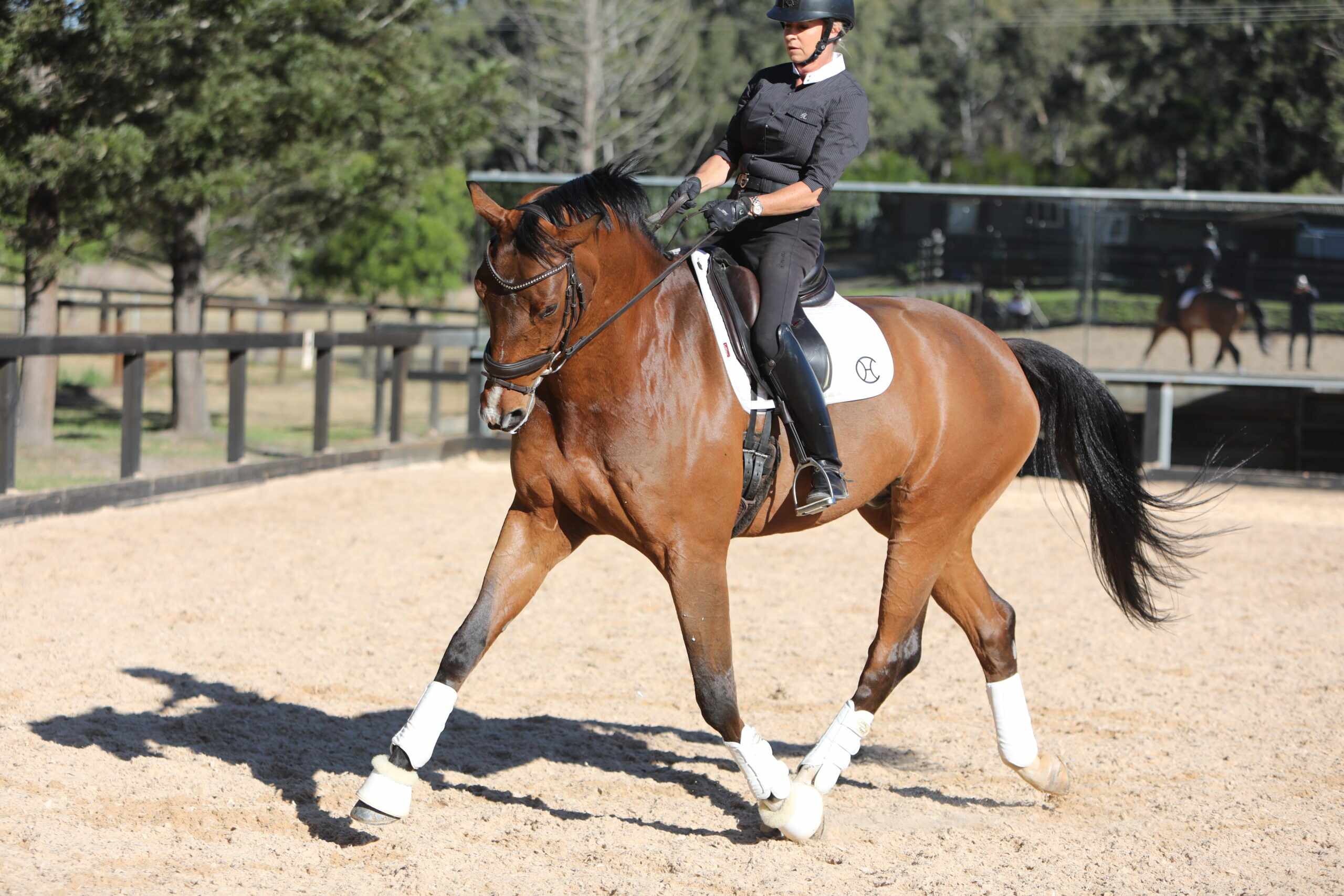 What makes a good student? - Equestrian Life