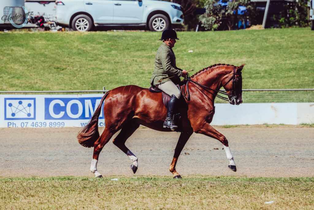 Show Hack or Hunter? - Equestrian Life