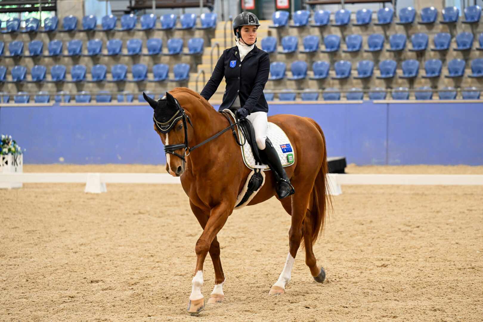 Para Equestrian in Paris: The format explained - Equestrian Life