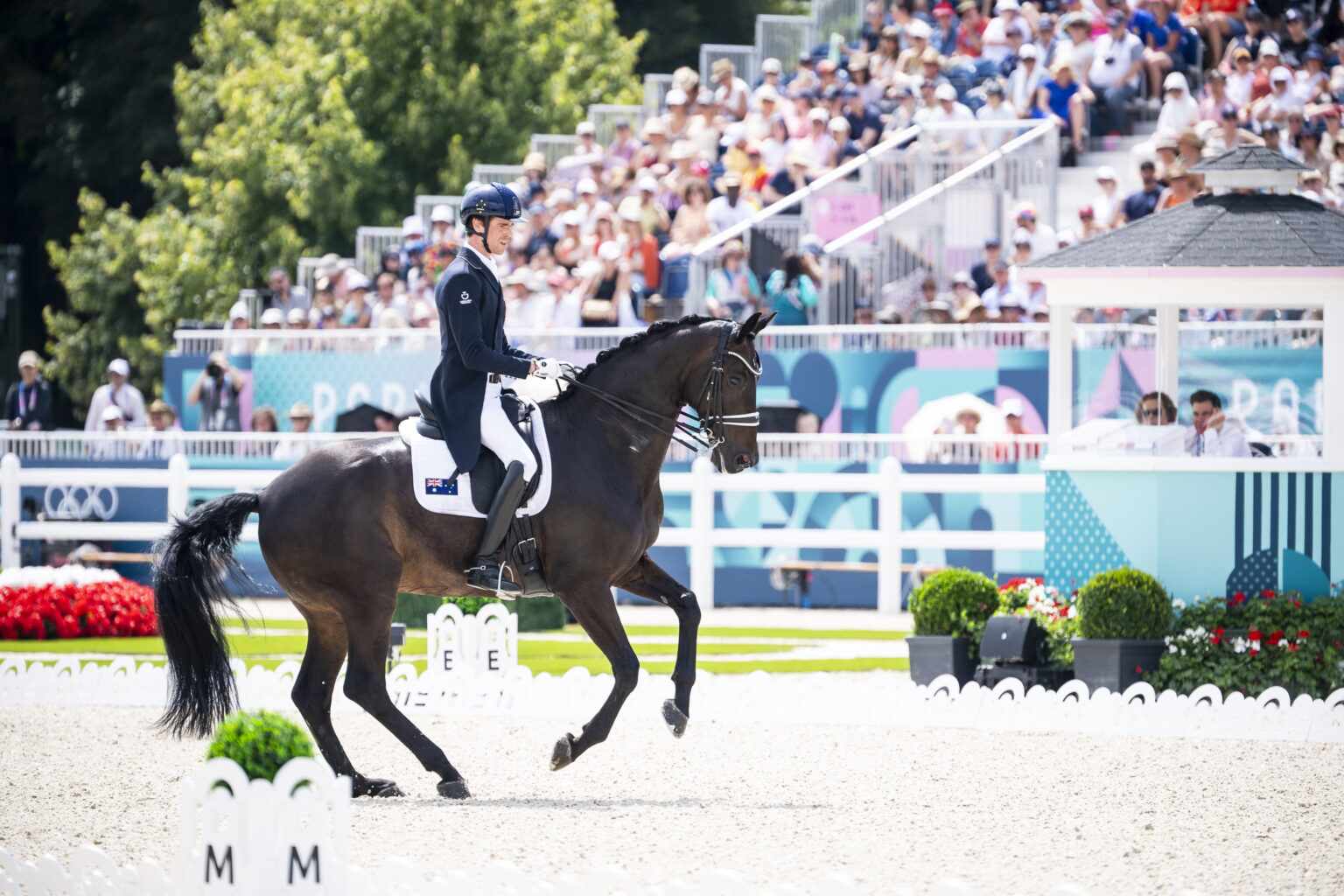 Australian Olympian William Matthew goes fully independent - Equestrian ...