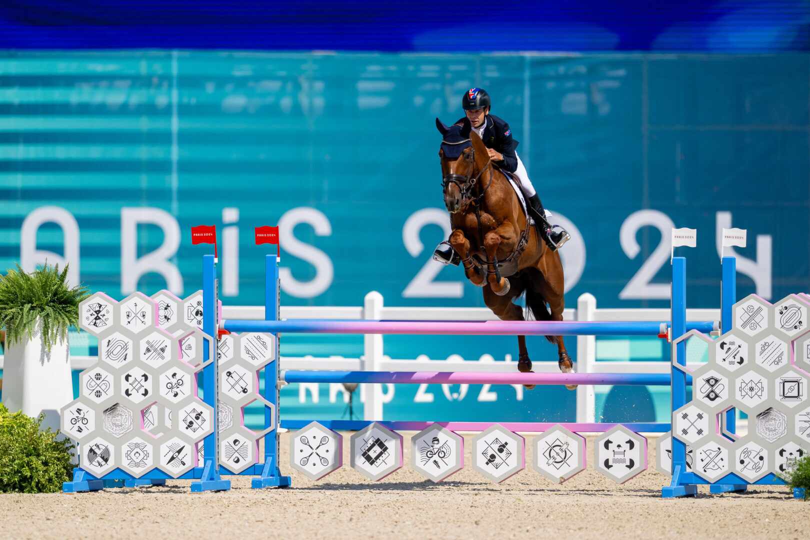 Olympic Eventing silver medallist announces plans to head home ...