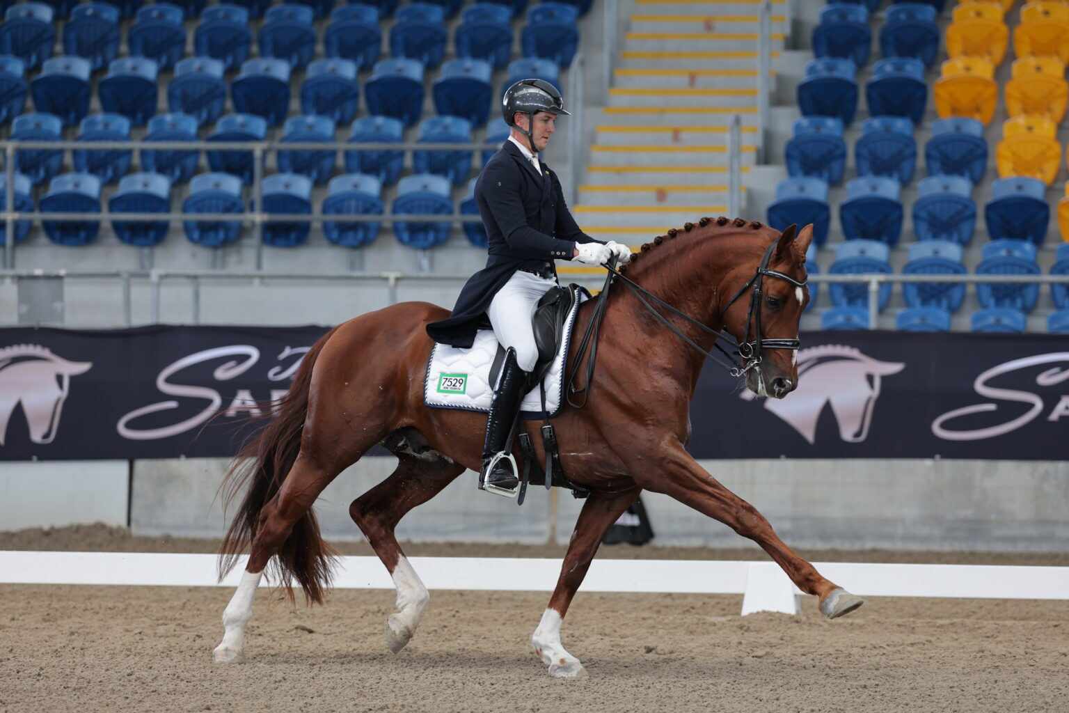 Home - Equestrian Life