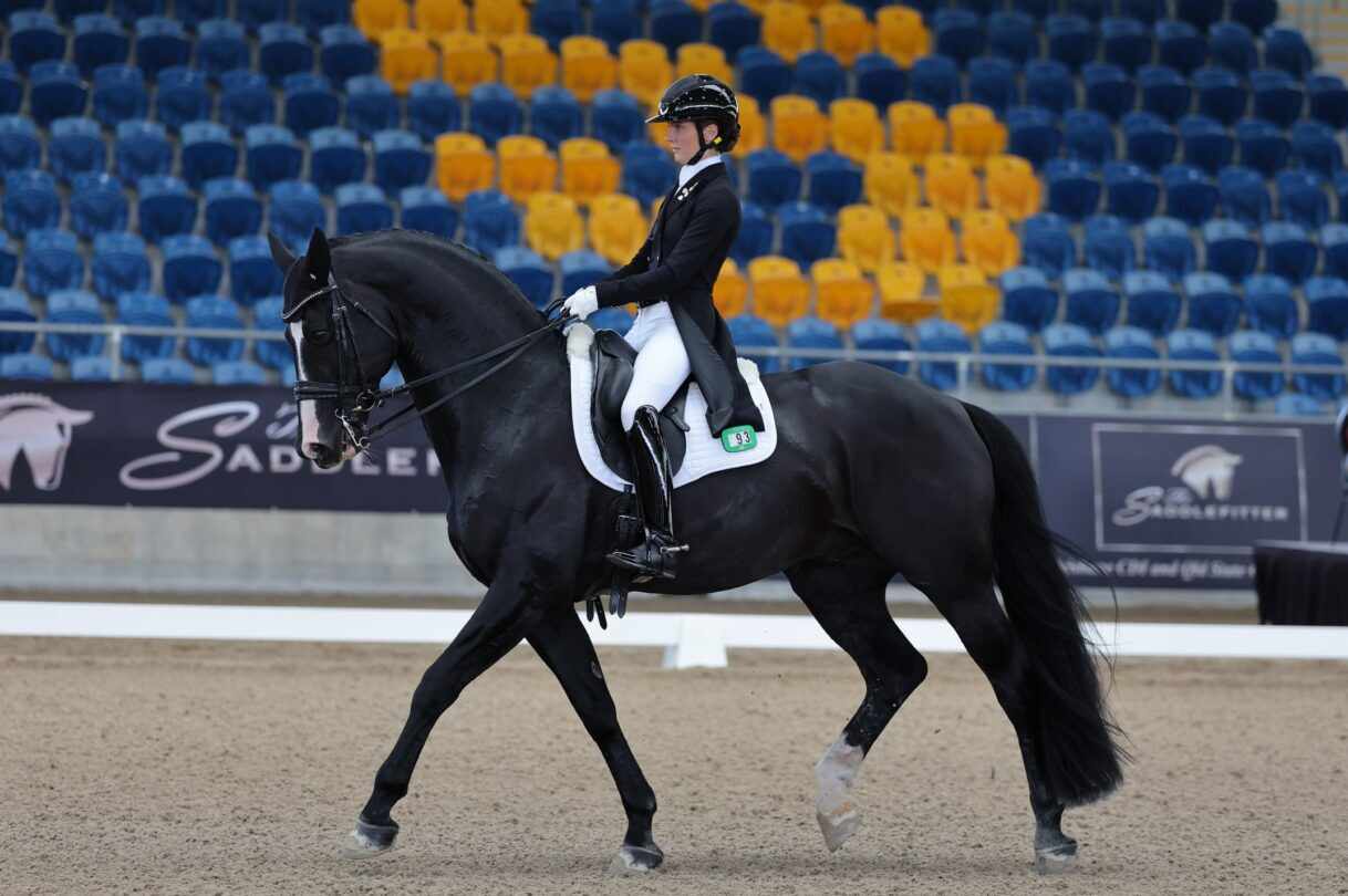 Home - Equestrian Life