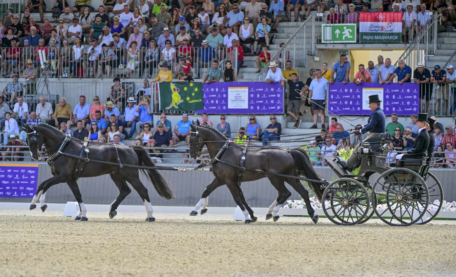 Team Australia leads the FEI Four-in-Hand Driving World Championship in ...