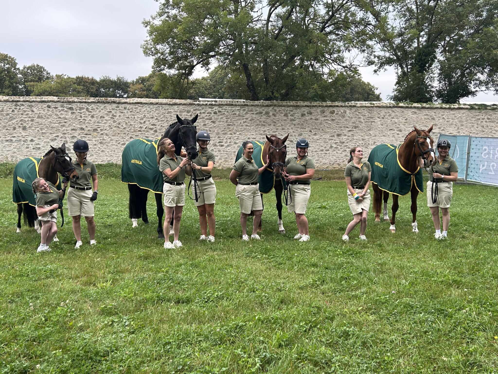 Aussie horses through the trot up at the Paris Paralympics - Equestrian ...