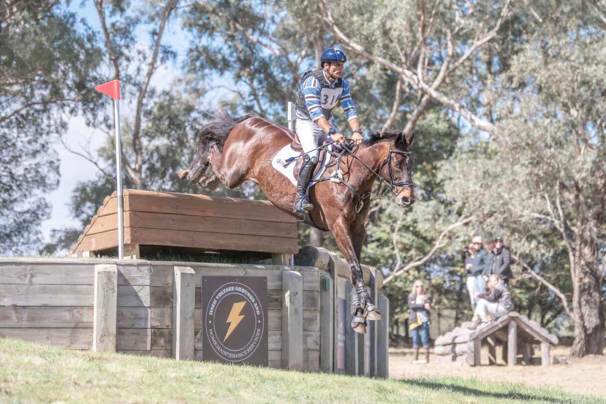 Shane Rose wins Canberra CCI4*S aboard The Bandit - Equestrian Life