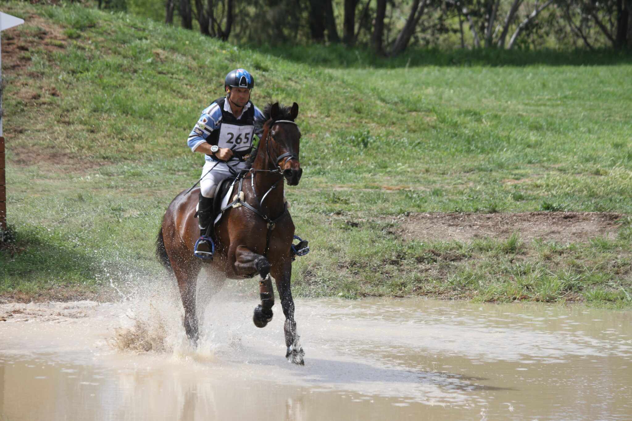 Shane Rose springs into action at Canberra International CCI4*S ...