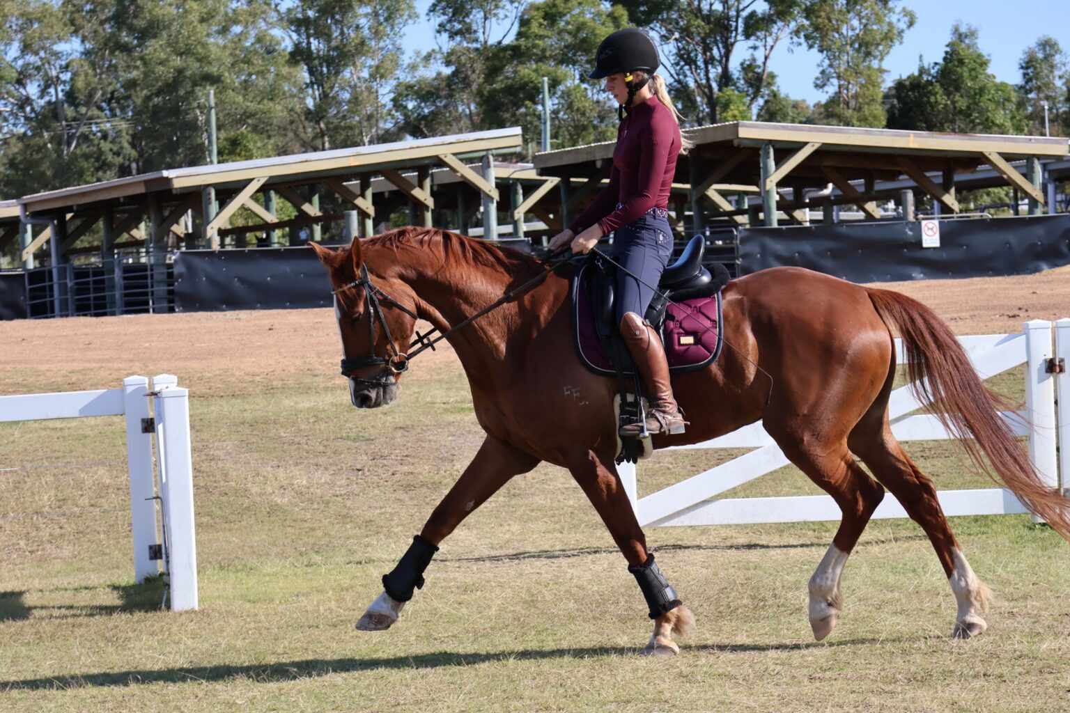 Pony Club Archives - Equestrian Life