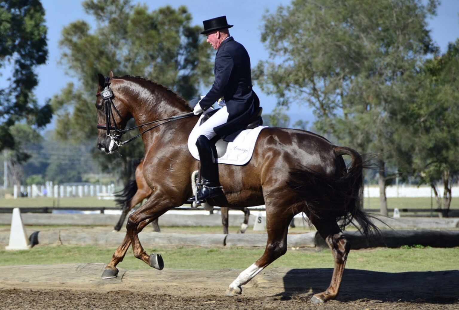 Positive update on the future of Clarendon dressage grounds ...