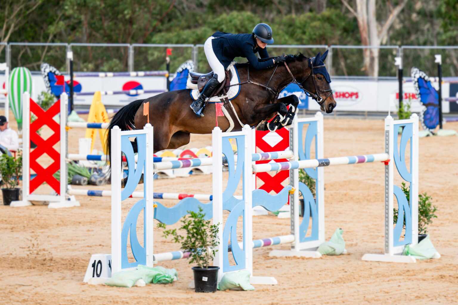 Day 3 of the 2024 Australian Showjumping Championships concludes, as ...
