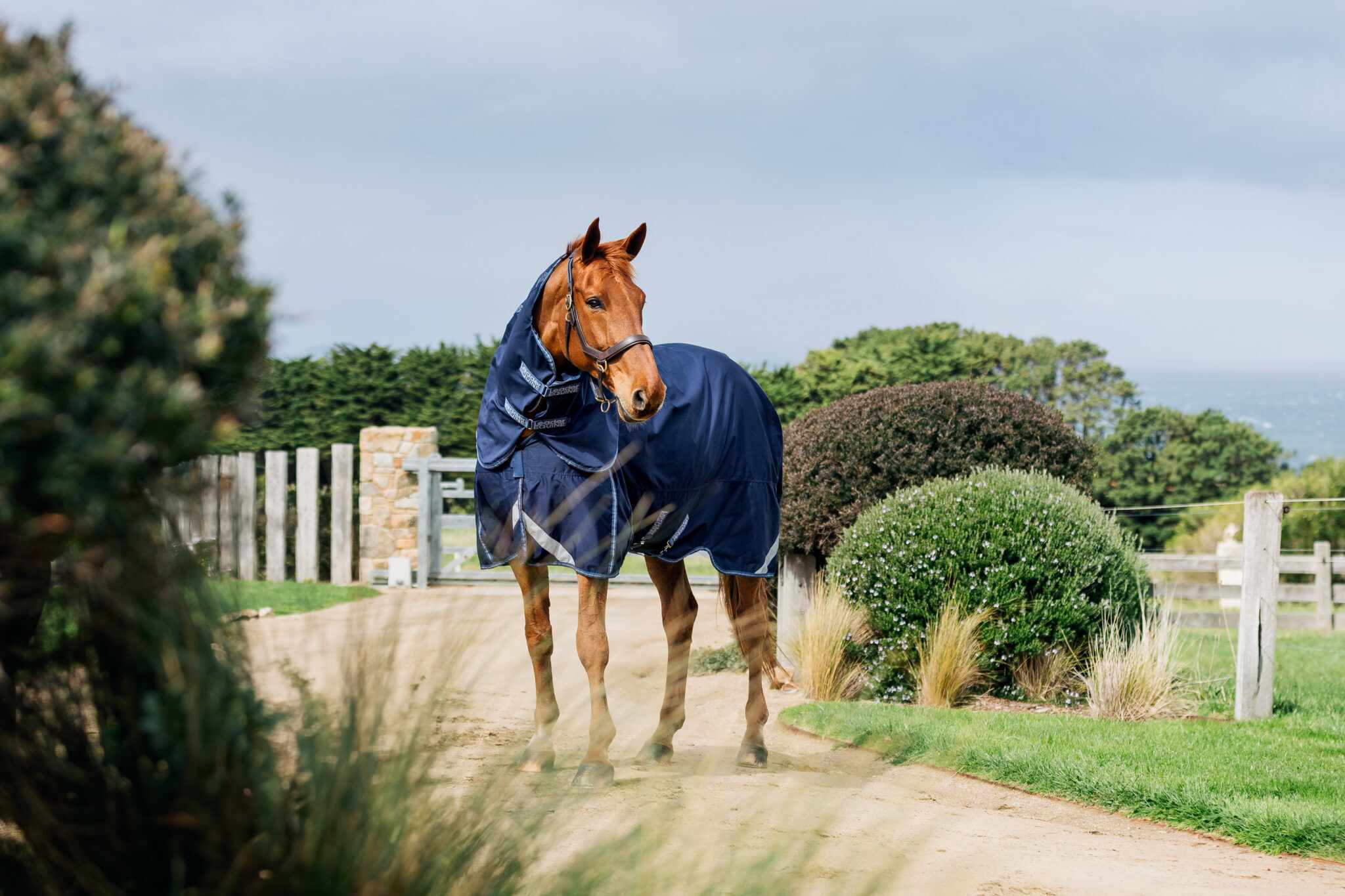 Introducing Leader Equine’s Spring/Summer horse rug collection: Comfort ...