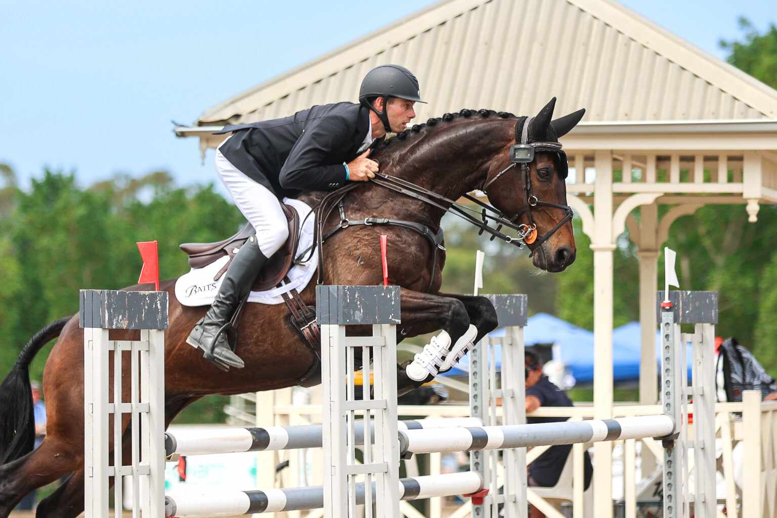 Sir Mark Todd announces retirement - Equestrian Life