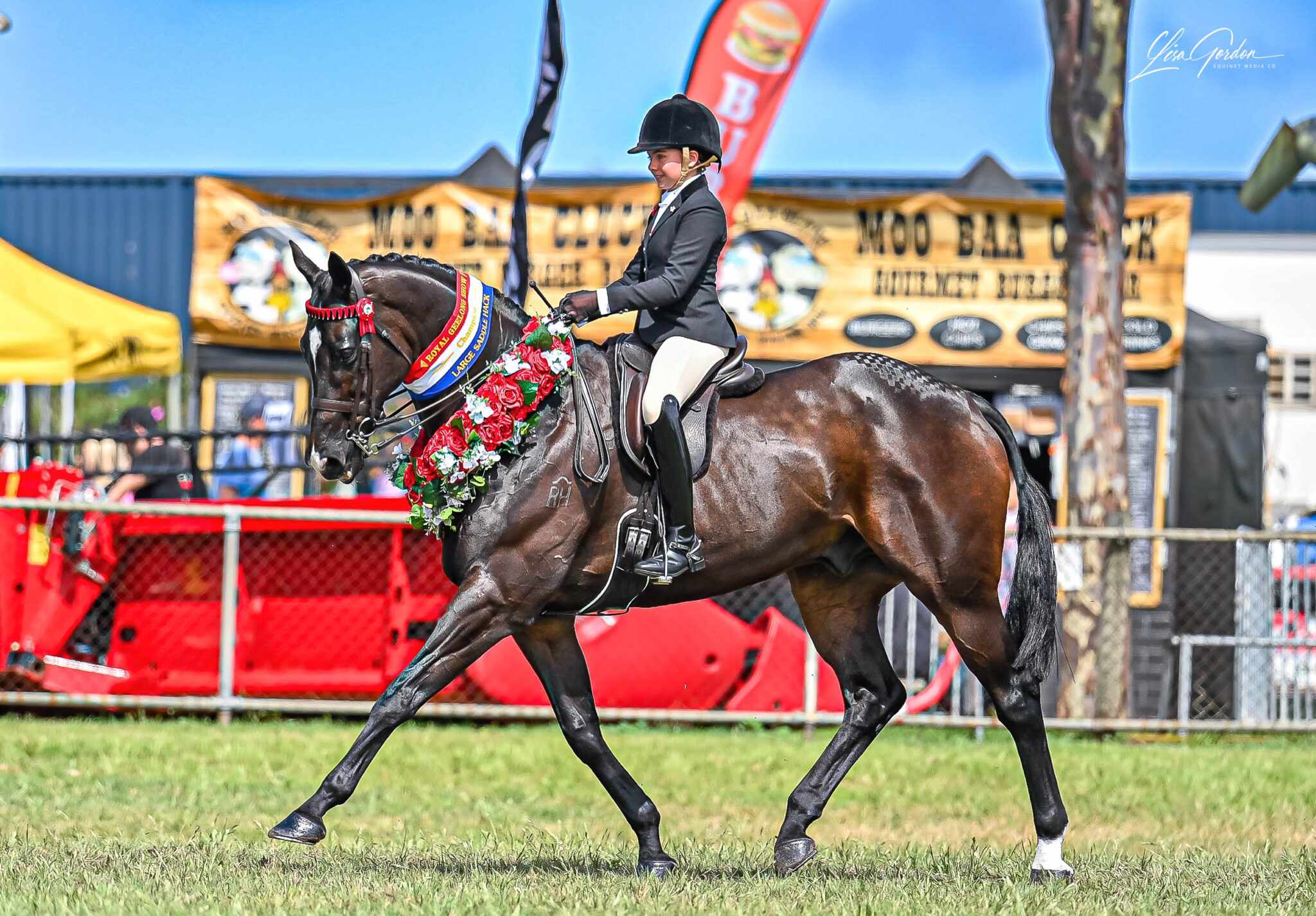 The 2024 Victorian Dressage Festival wraps up at Werribee - Equestrian Life