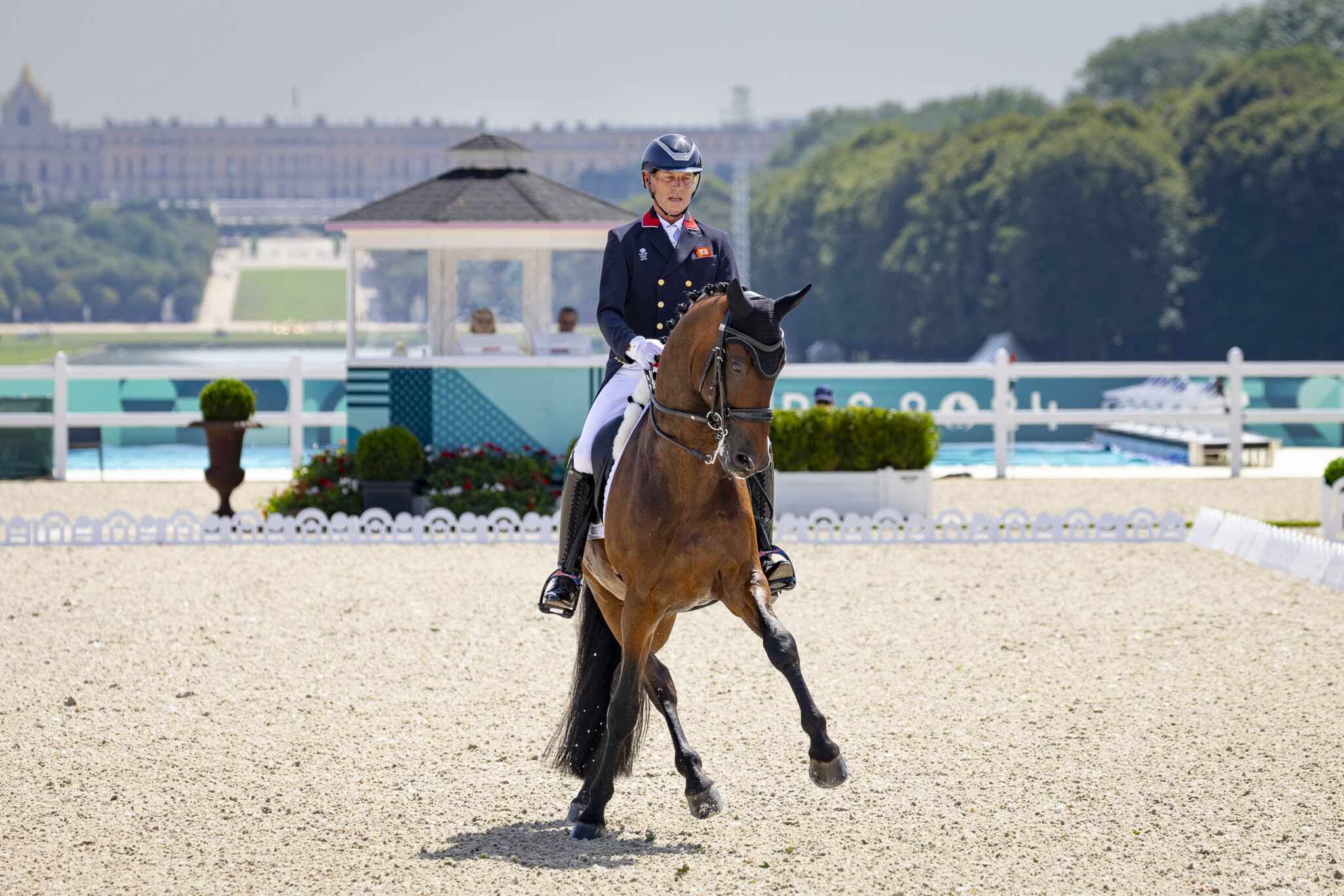 Learning from dressage great Carl Hester - Equestrian Life