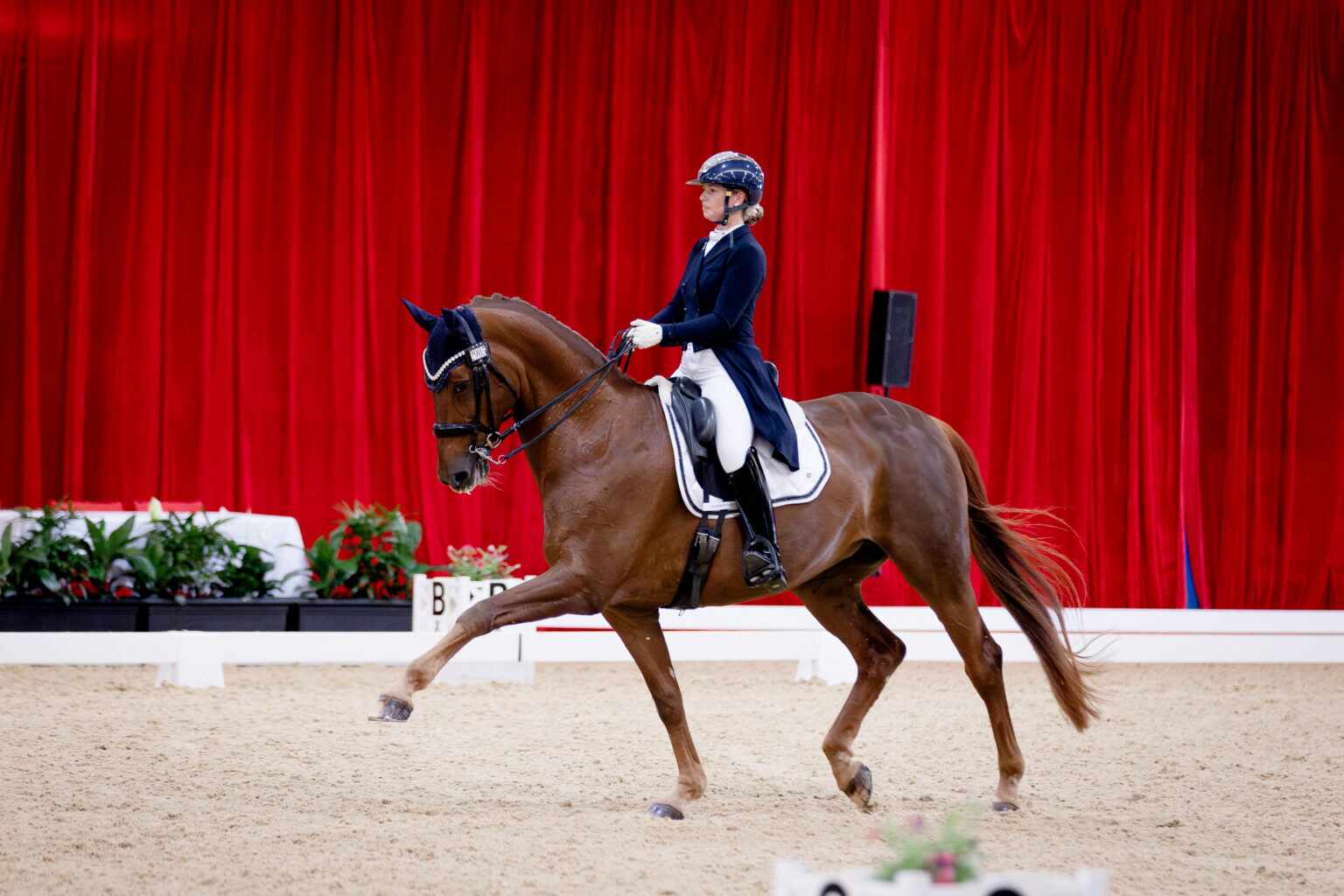 Young Aussie riders in the World Youth Rankings - Equestrian Life