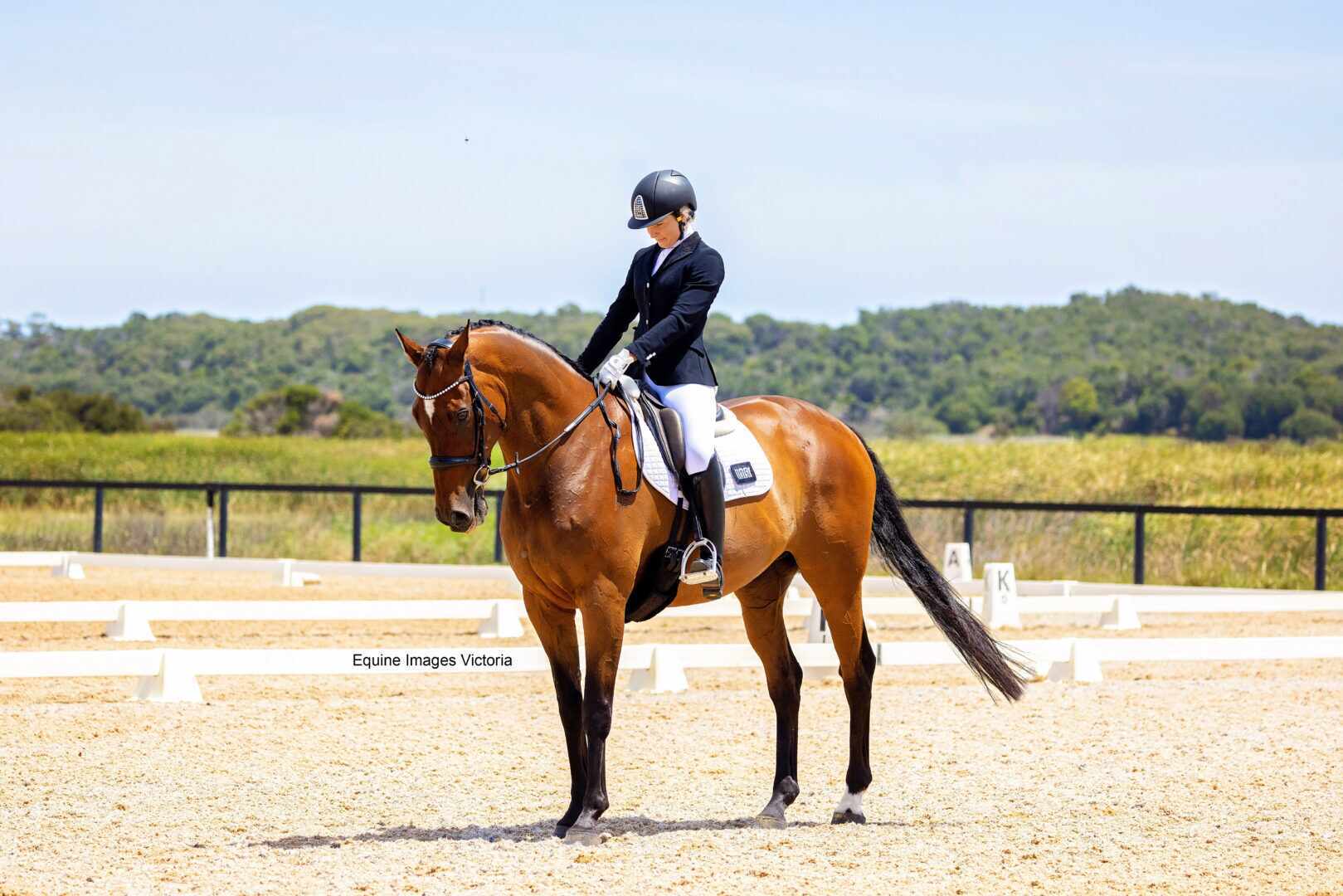 2025 Off The Track Dressage Series kicks off at Boneo Park - Equestrian ...