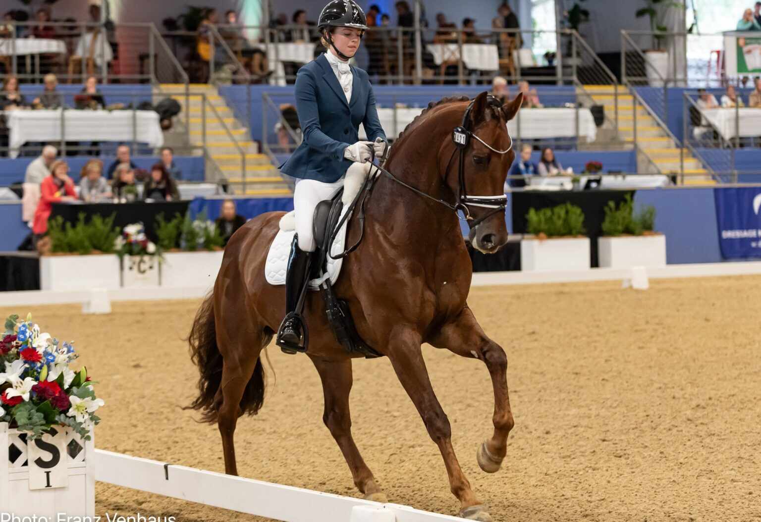 Sydney CDI set to host 'world’s richest' six-year-old young horse class ...