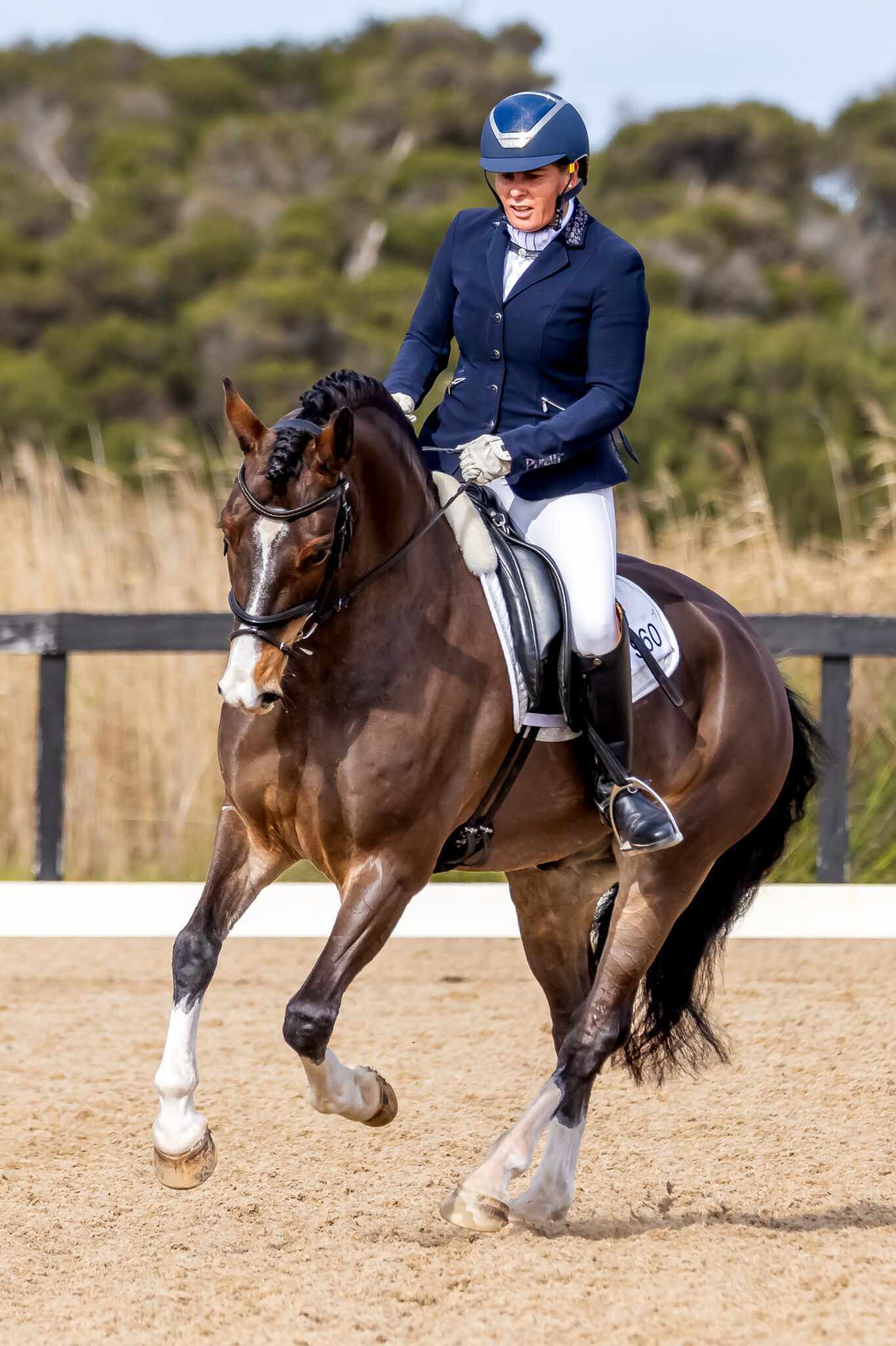 Dressage riders step out at Boneo Park Summer Championships - Equestrian Life