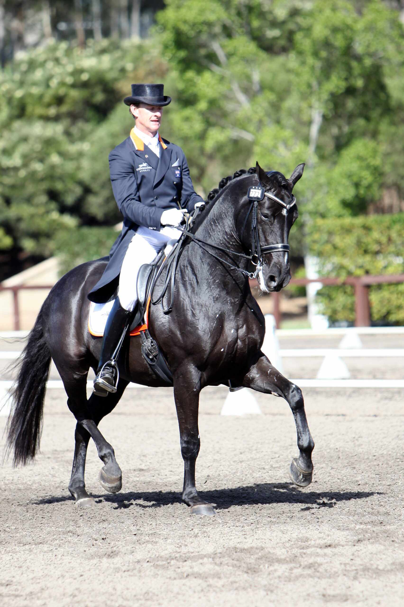 The perfect centreline - Equestrian Life