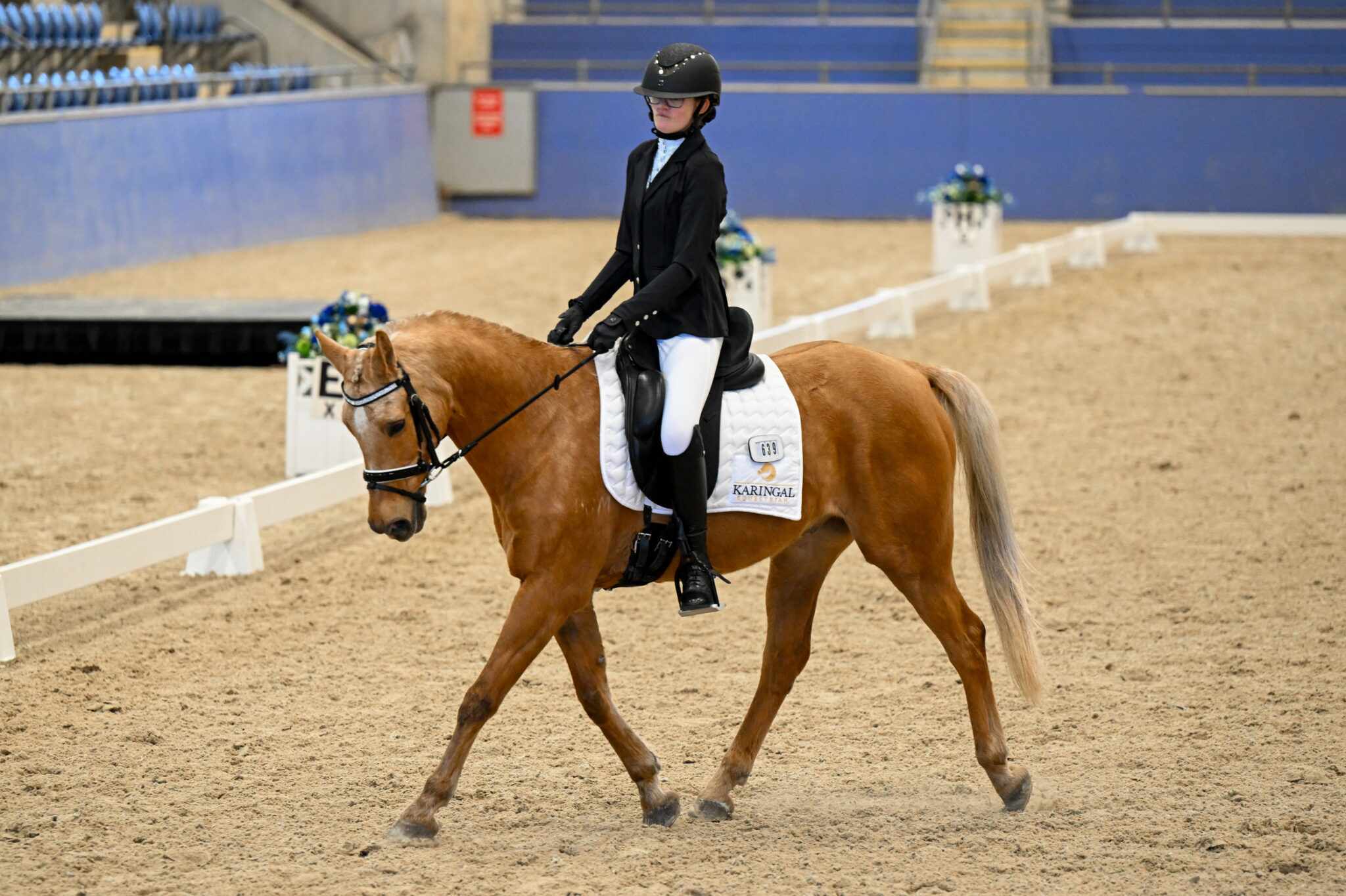 Success for Australia following round one of the 2025 Virtus Equestrian ...