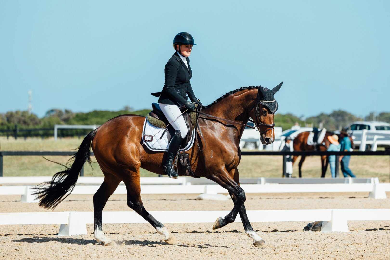 Inaugural Off The Track Carnival attracts over 380 retired racehorses ...