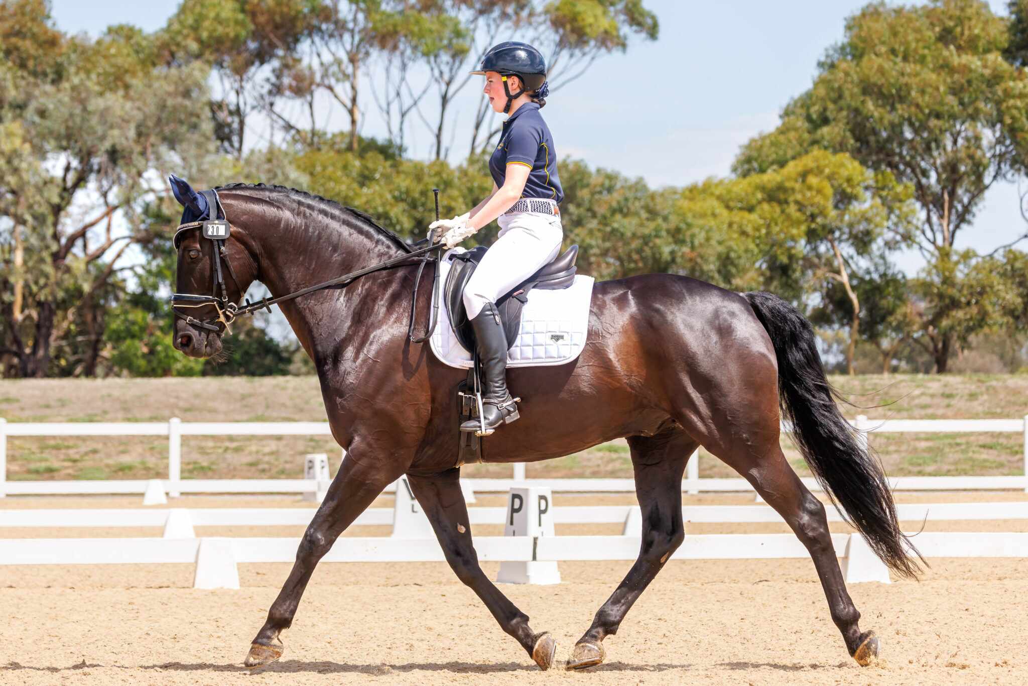 Hot competition at the 2025 LuxeHorse Victorian Youth Dressage ...