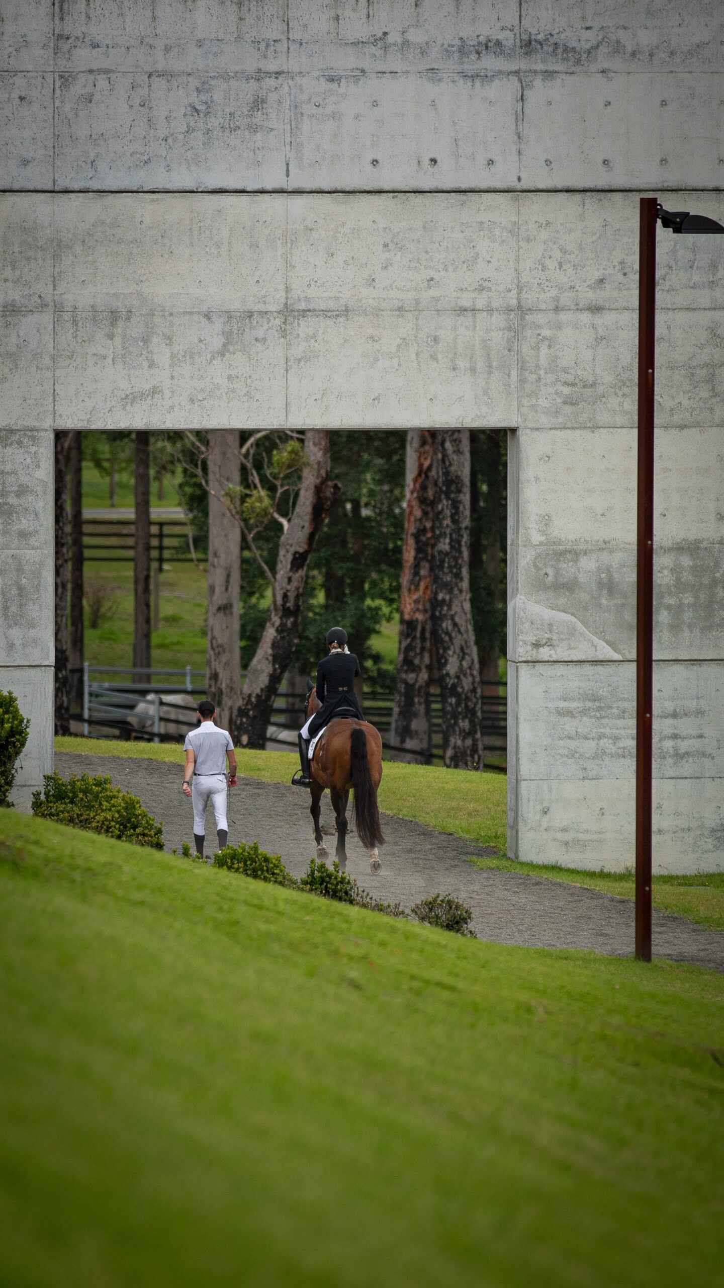 Willinga Park sale listing marks new chapter for equestrian landmark ...