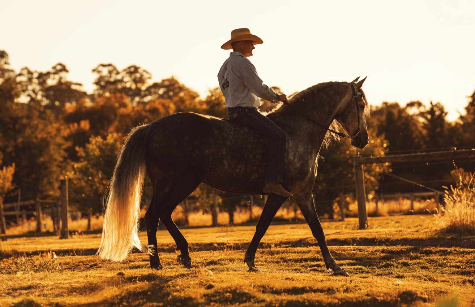 Scootboot launches the TheraRide: The first therapy hoof boot designed ...