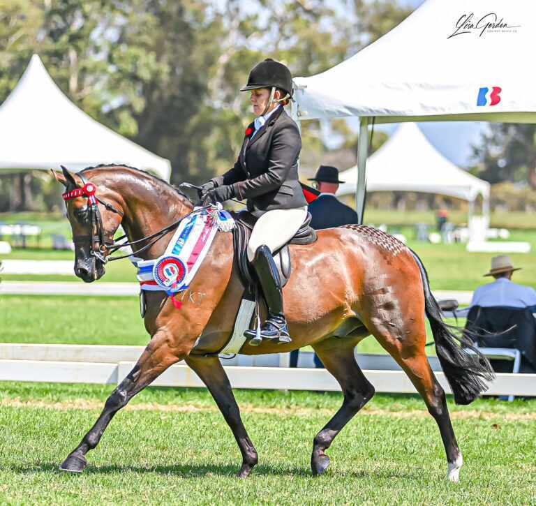 Victoria's best on show at Barastoc HOTY and Equestrian Victoria Rider ...