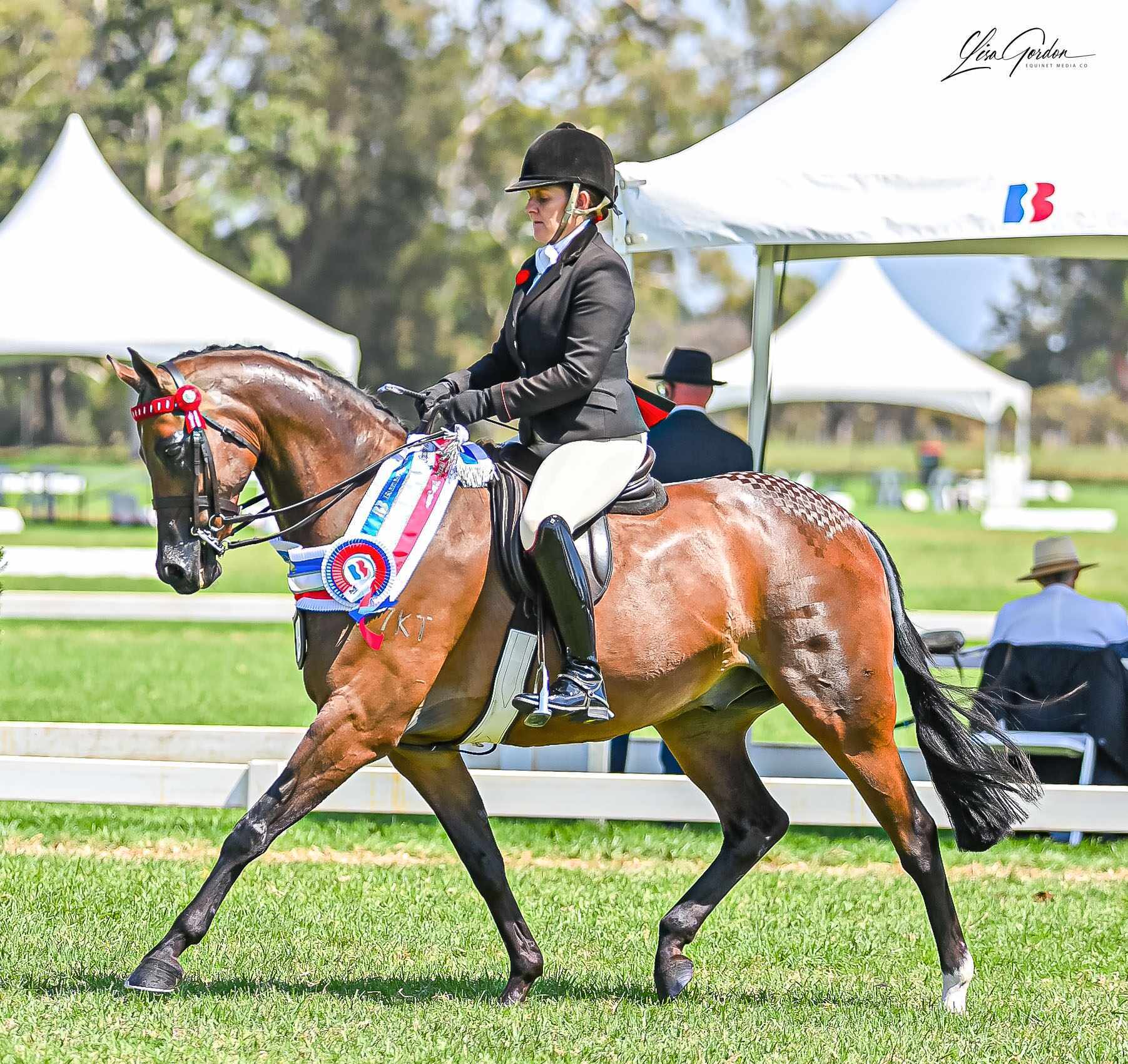 Victoria's best on show at Barastoc HOTY and Equestrian Victoria Rider ...