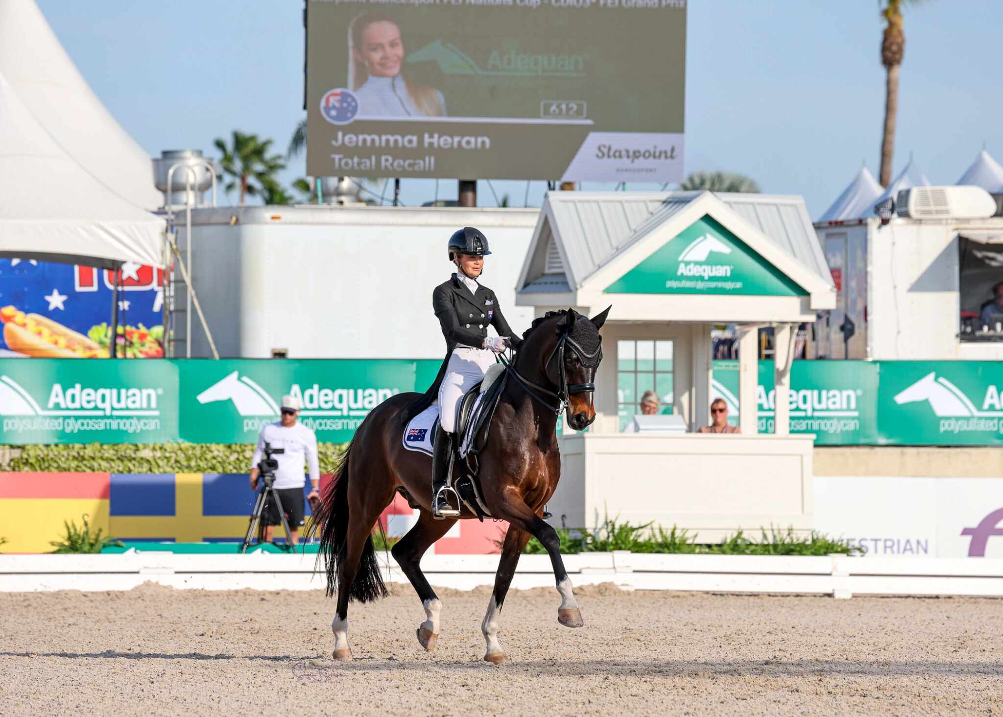 Jemma Heran and Total Recall third in Wellington Grand Prix Special - Equestrian Life