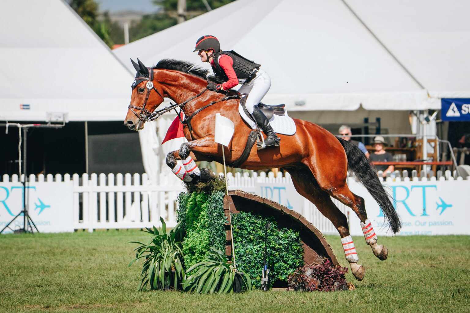 Amy Gotts-Wheeler claims CCI2* at NZ Horse of the Year - Equestrian Life