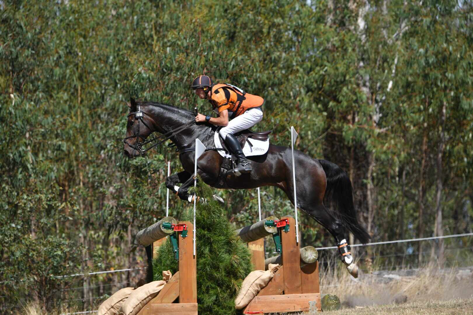 Sam Jeffree and Santoro win Tonimbuk CCI4*S - Equestrian Life