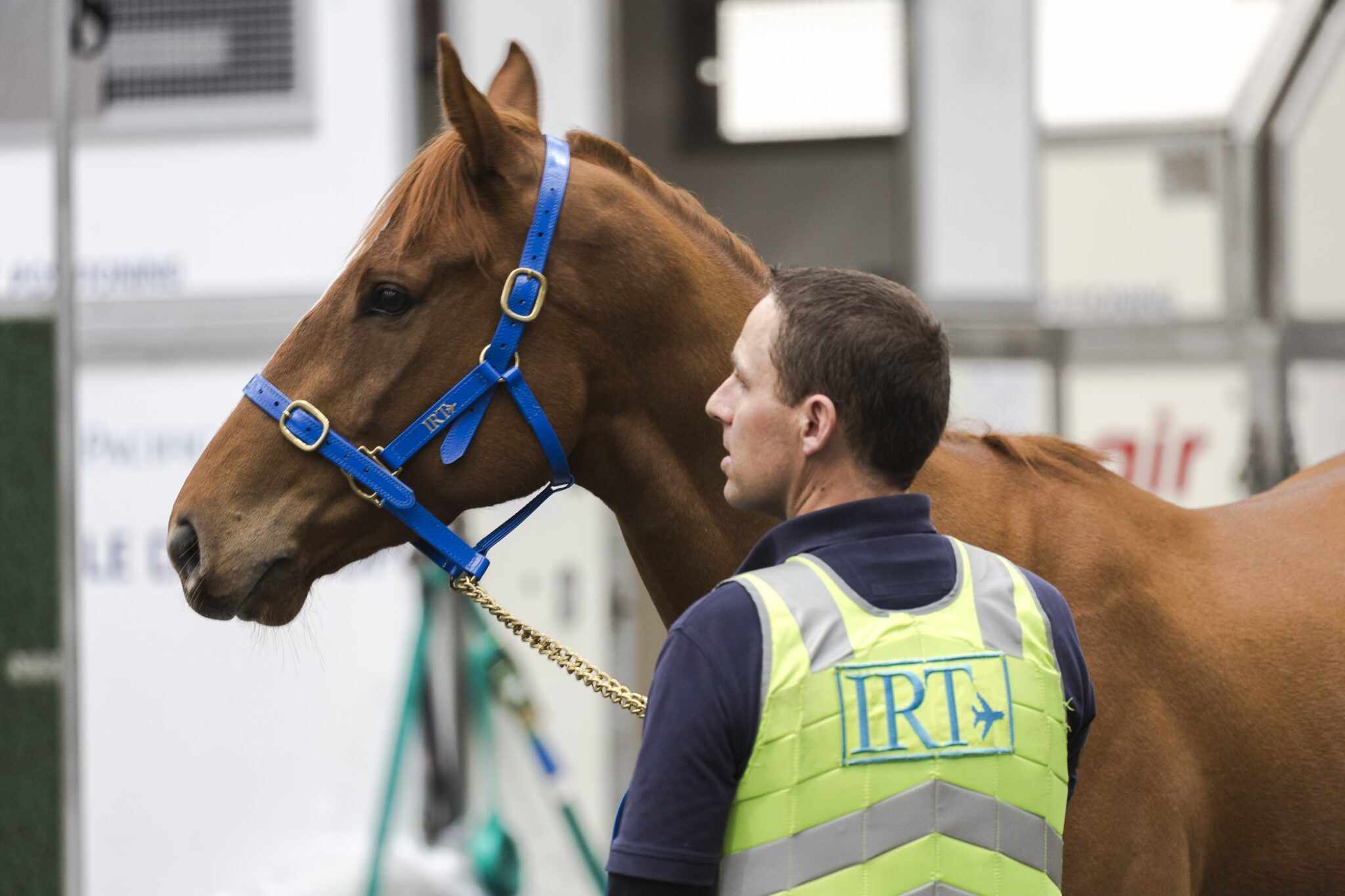 Join the IRT team: Operations Coordinator - Equestrian Life