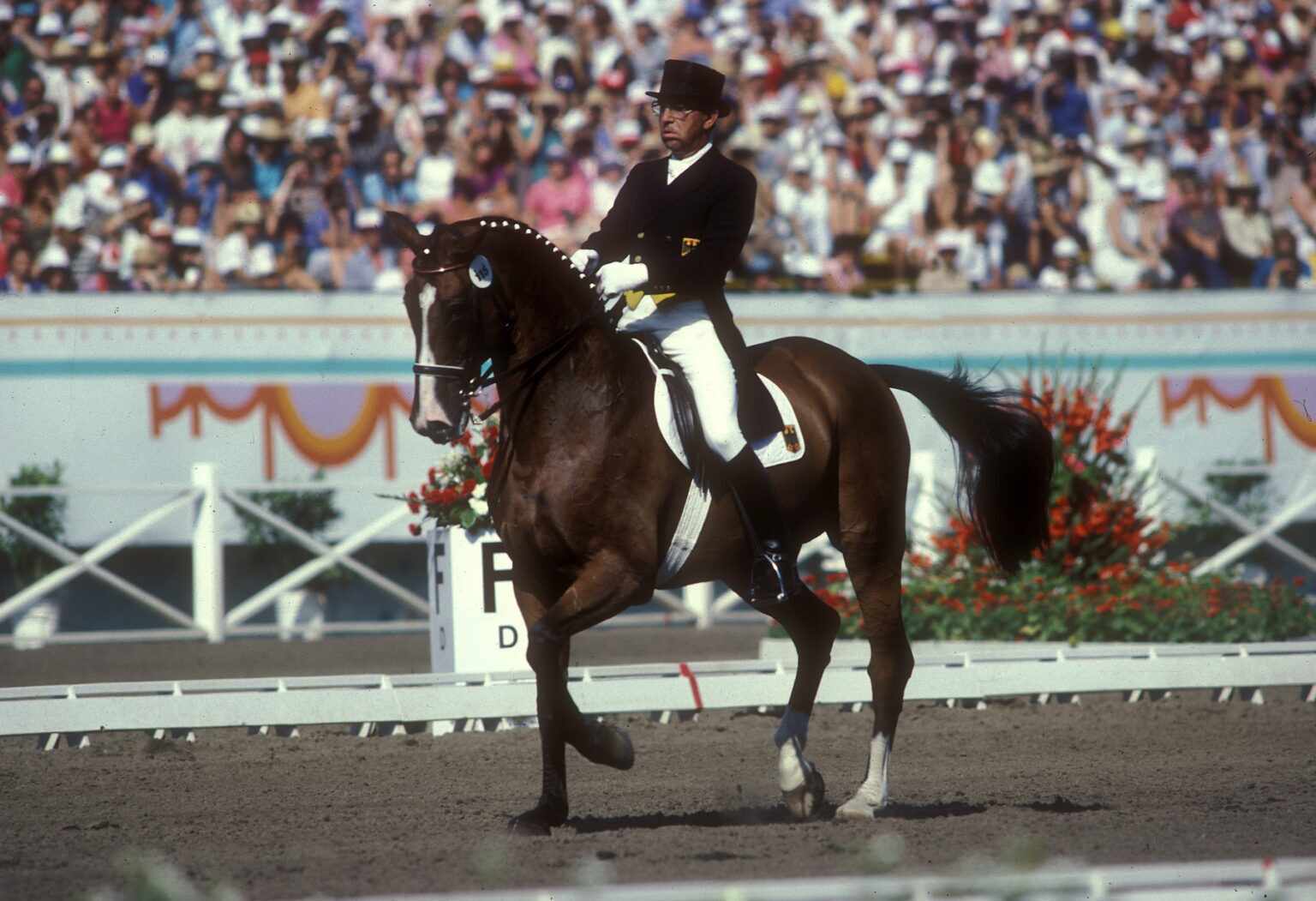 Santa Anita Park confirmed as venue for Olympic Games Los Angeles 2028 ...