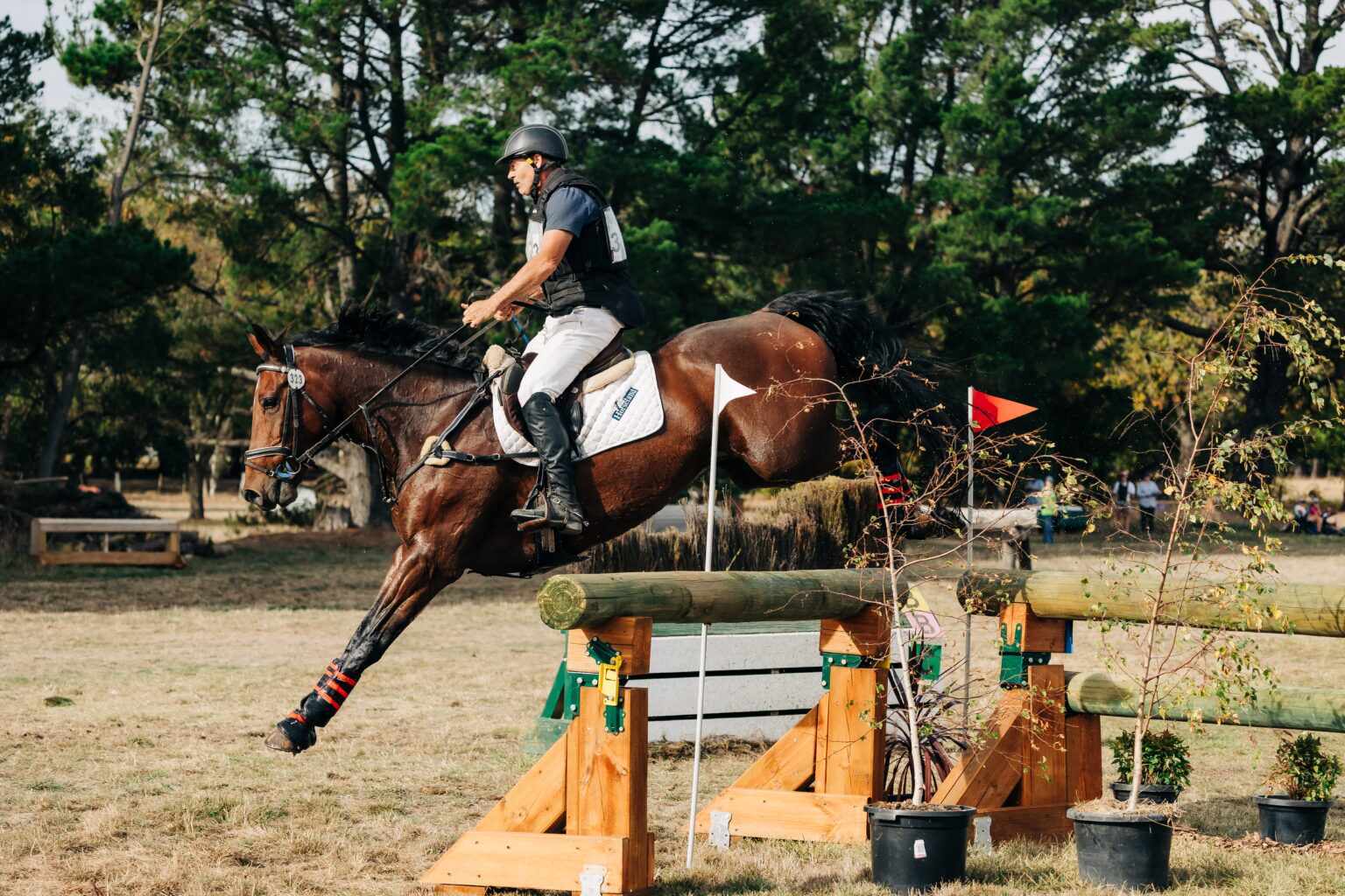 David Middleton and WEC In The Money win Ballarat CCI4*S - Equestrian Life