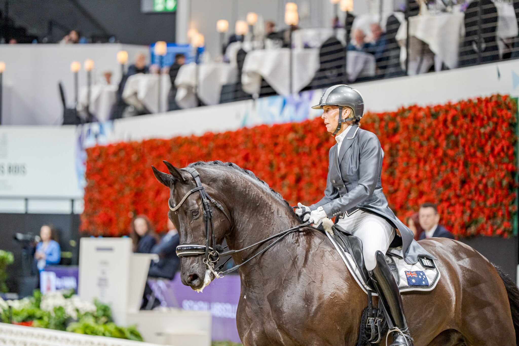 Mary Hanna and Ivanhoe 13th, qualify for World Cup Final Freestyle - Equestrian Life