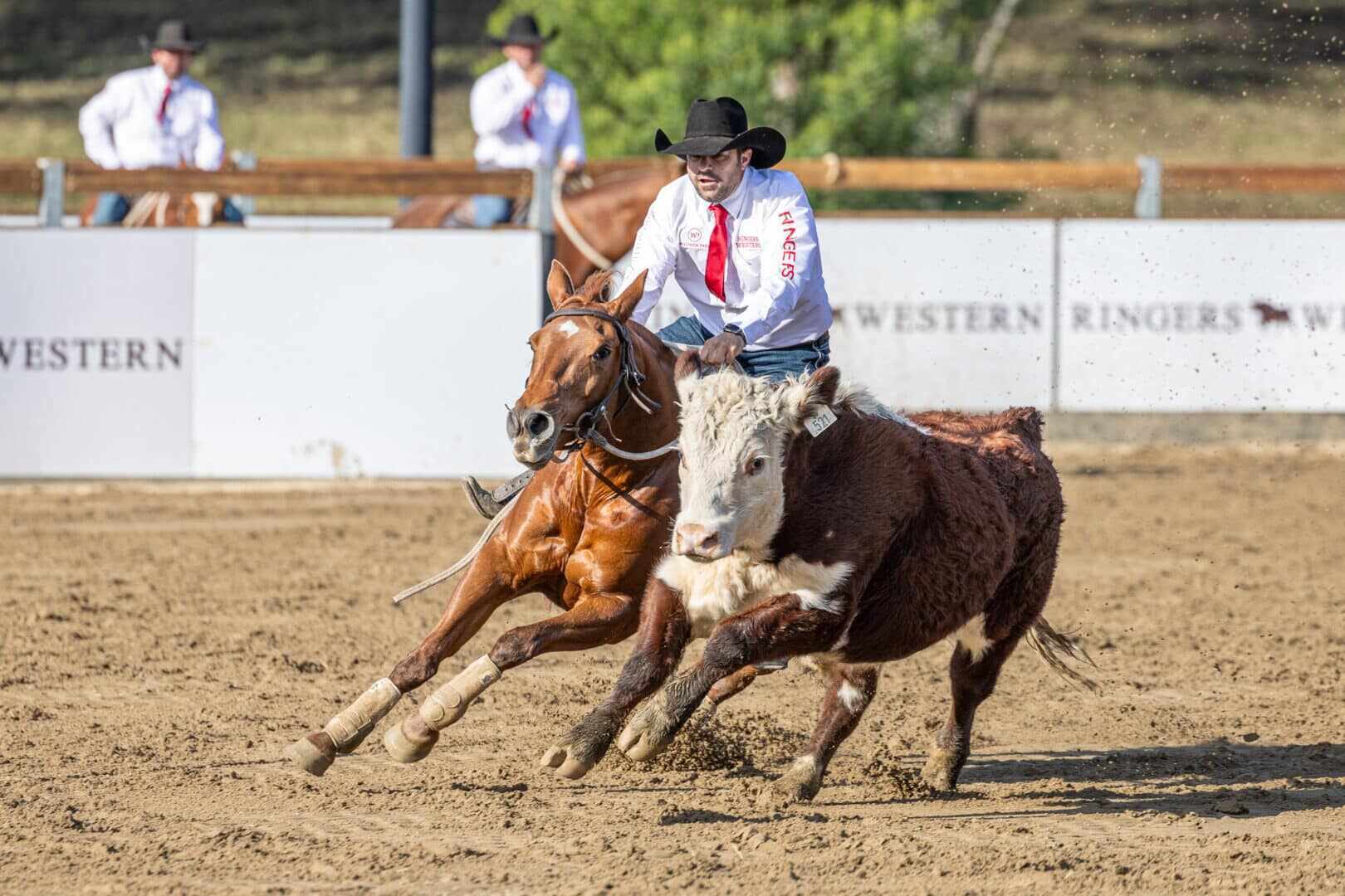 Big scores, big moments at the 2025 Ringers Western Gold Buckle ...