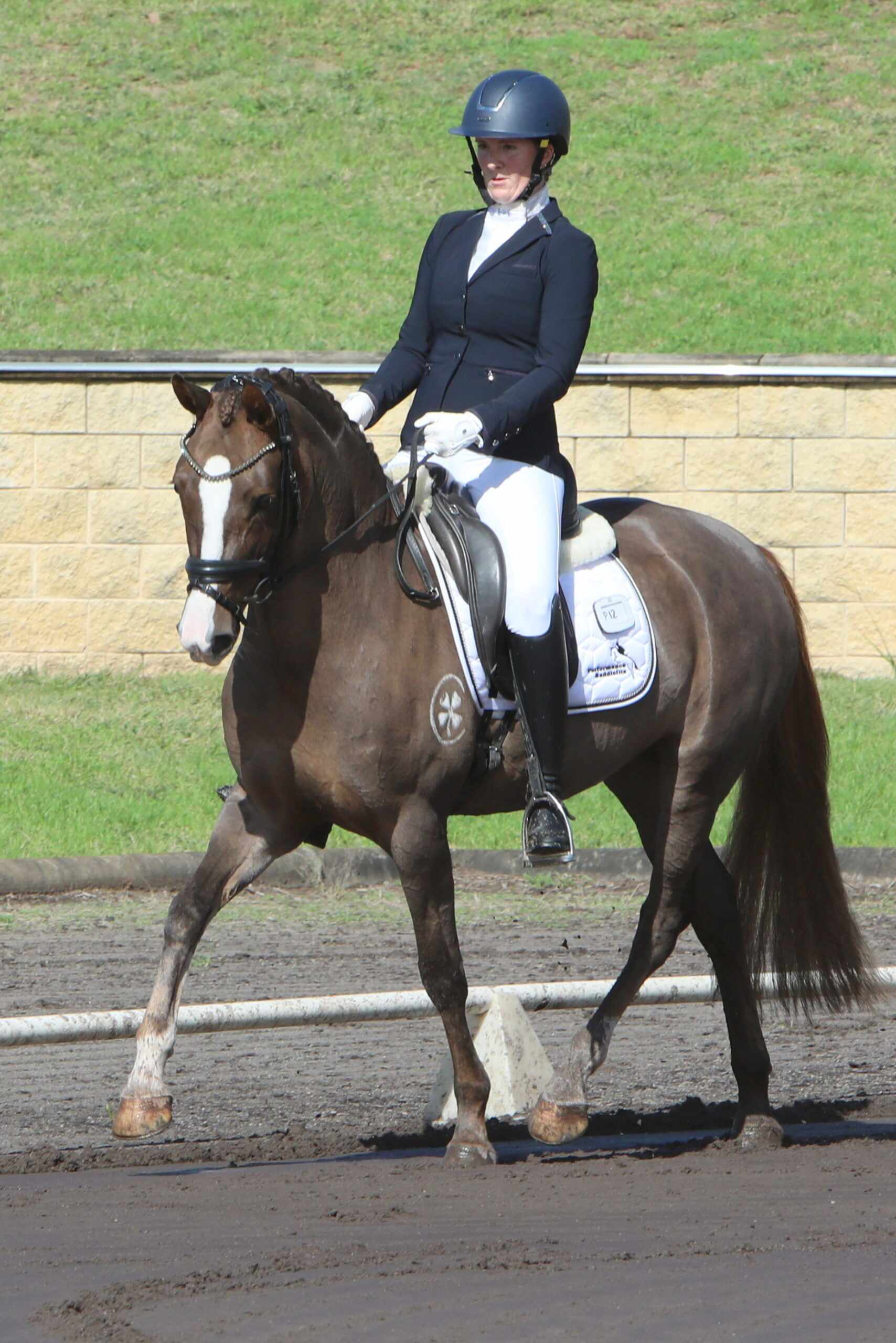 Wendi Williamson claims Sydney CDI3* Grand Prix Special with Don Vito ...