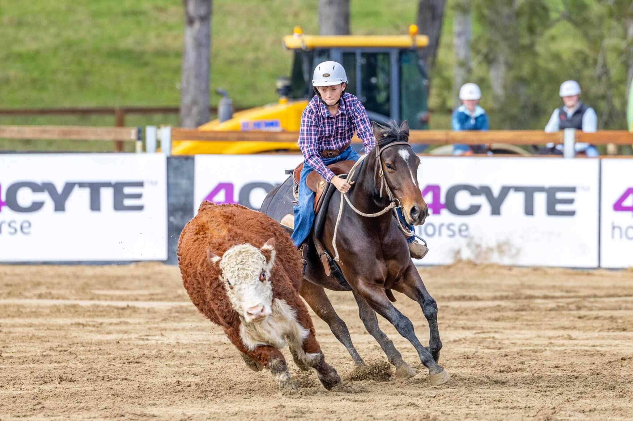Big scores, big moments at the 2025 Ringers Western Gold Buckle ...
