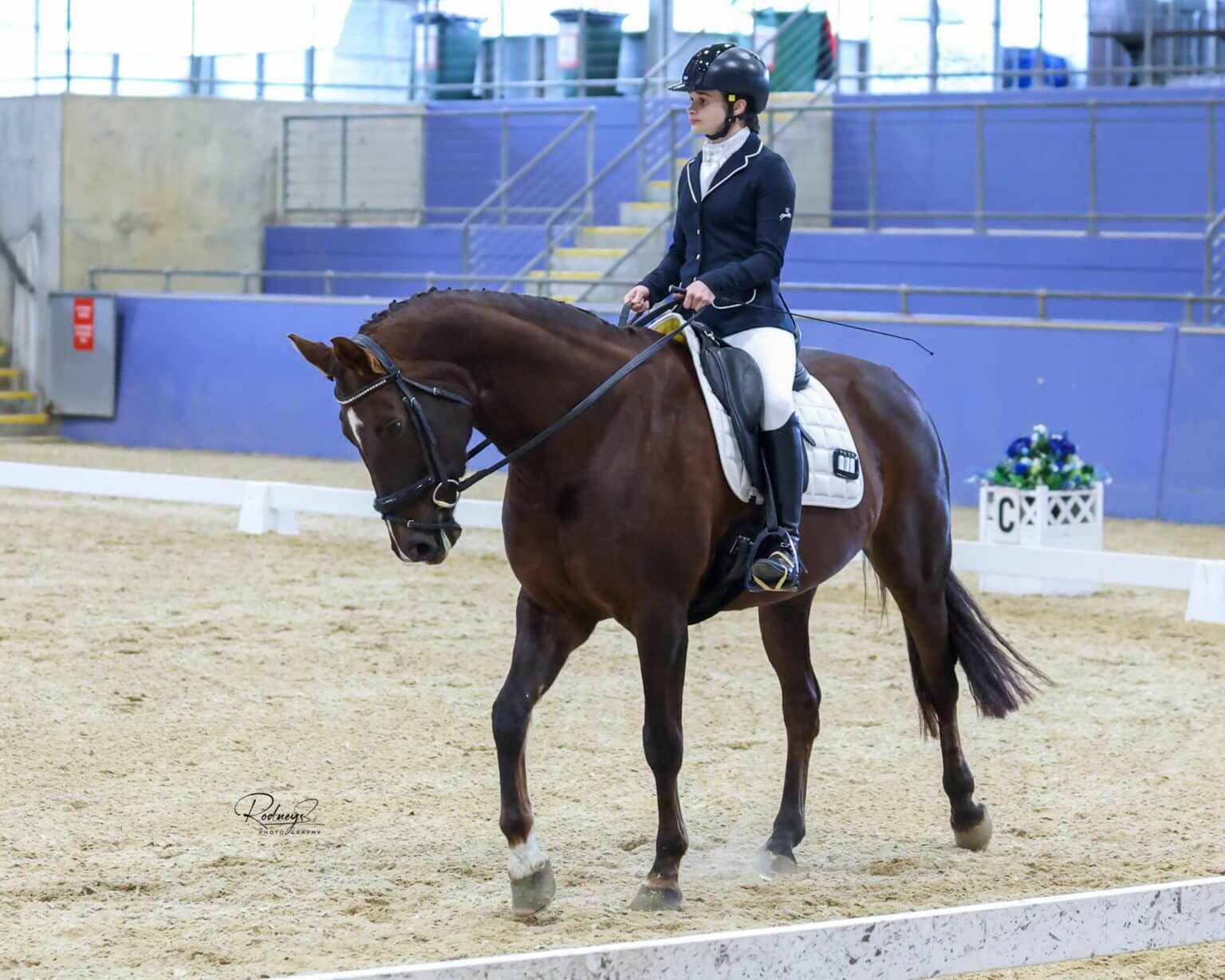 Para Equestrian and Virtus Equestrian riders shine at Hawkesbury ...