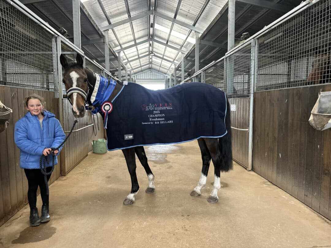 101 Jumping Exercises (Part One) - Equestrian Life