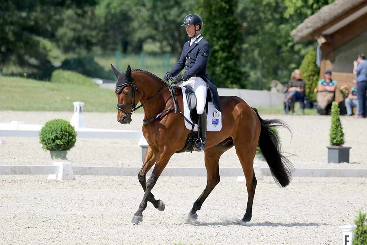 Kevin McNab and Faro Imp win Millstreet CCI4*-S - Equestrian Life