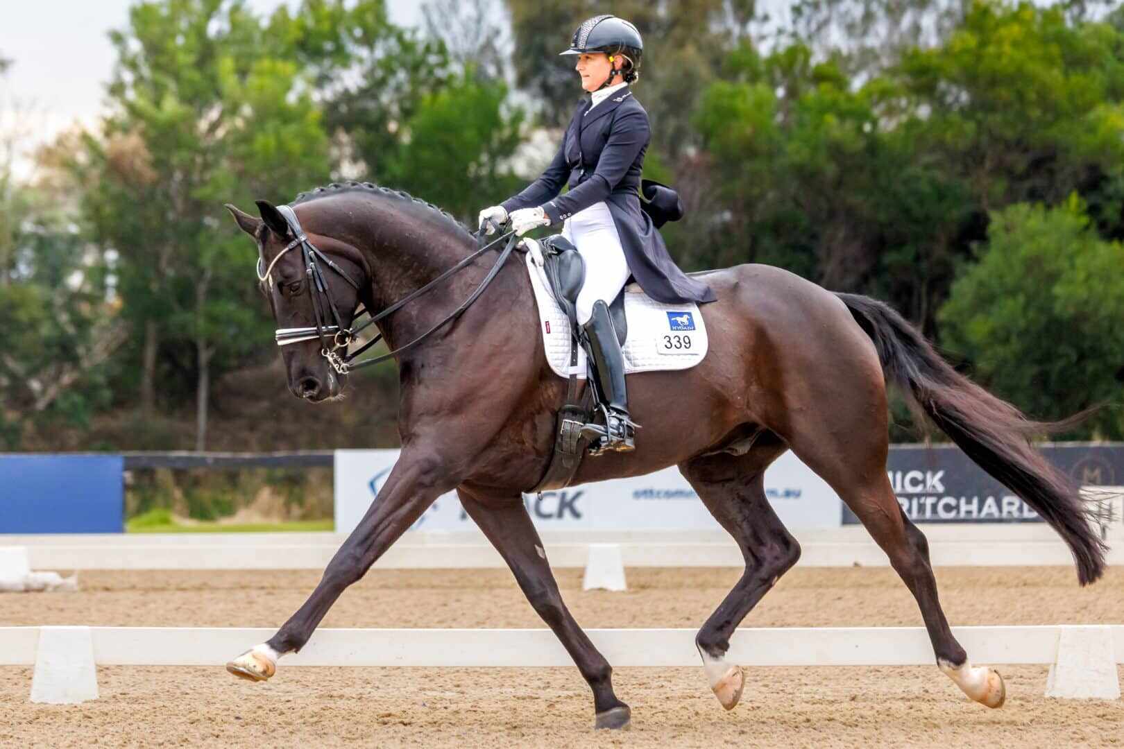 Emma Flavelle-Watts & Scarlatti Mio VSR claim Boneo CDI3* Grand Prix ...