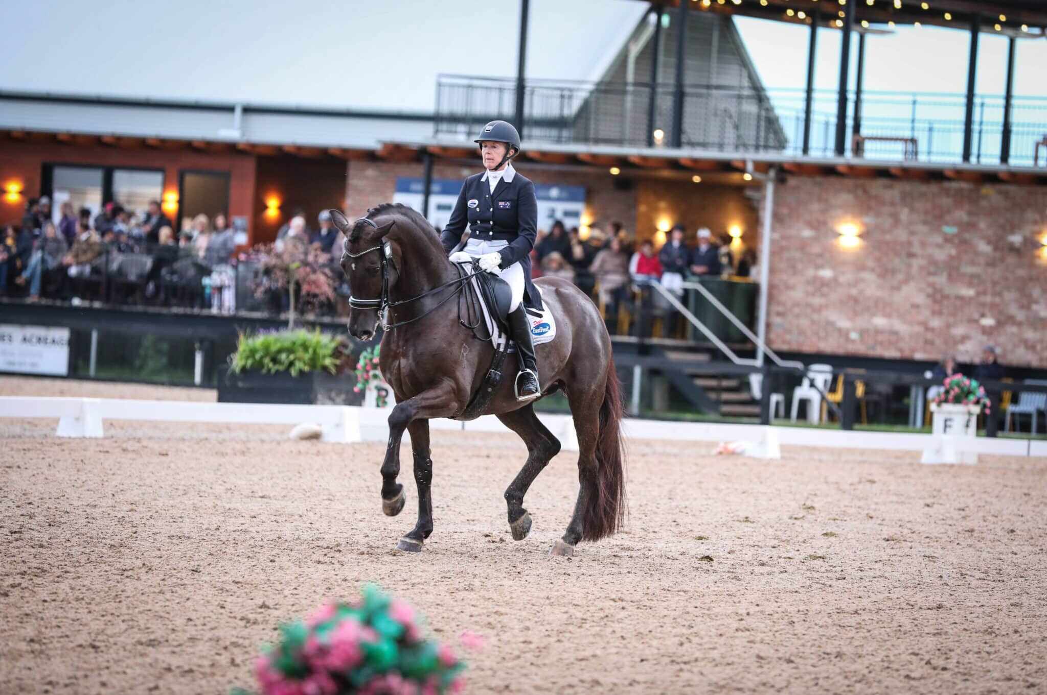 International dressage competition returns to Boneo Park - Equestrian Life