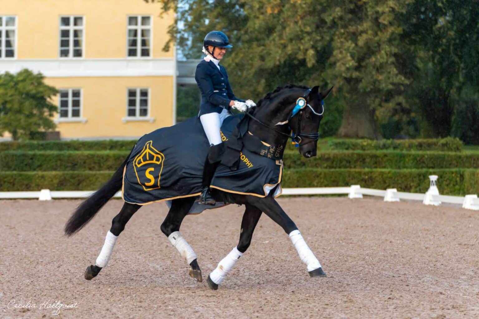 Alicia Ryan nominated for World Young Horse Championships with two ...