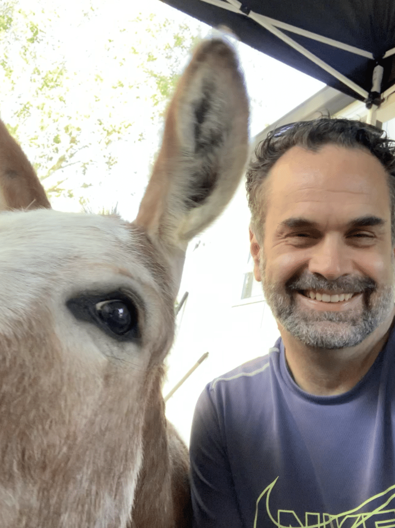 Dr Chris Mortensen: Helping horses through education - Equestrian Life