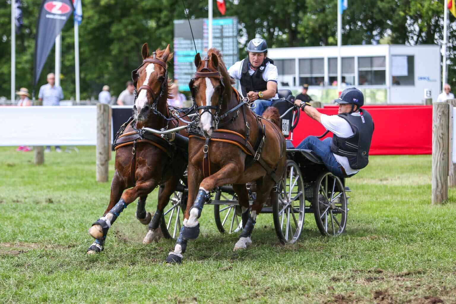 Tor Van Den Berge prepares for World Championship in Beerkbergen - Equestrian Life