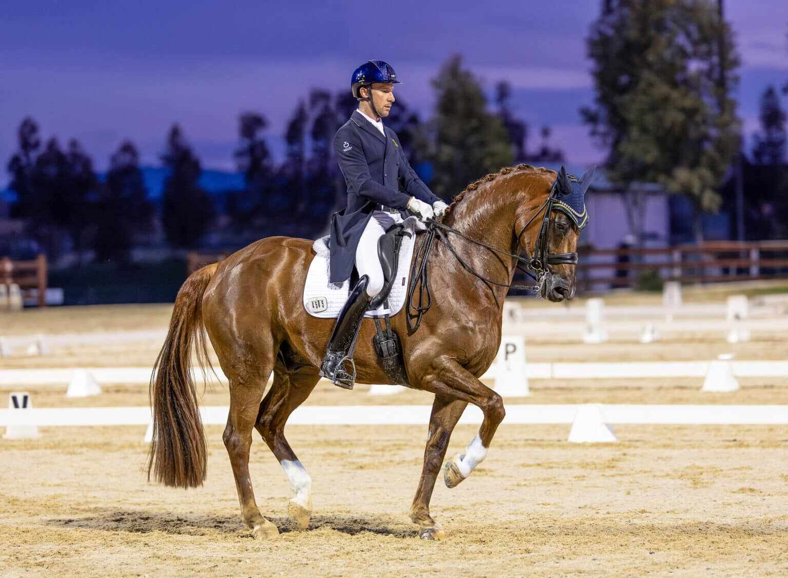 Jayden Brown claims NSW Big Tour Championship - Equestrian Life
