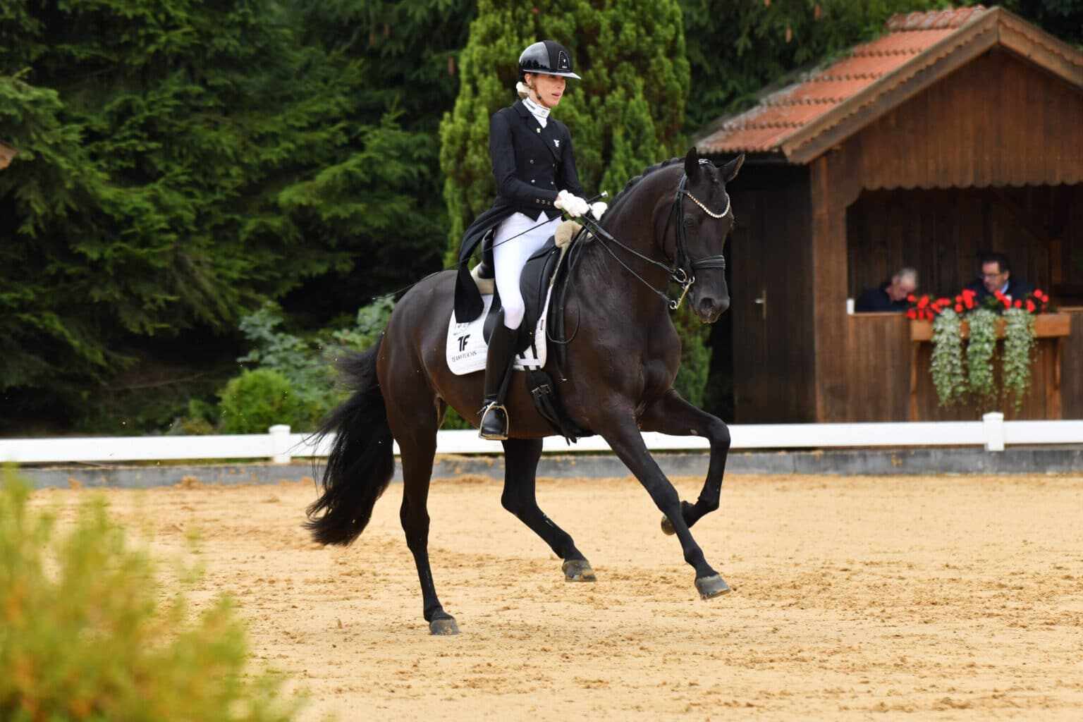 Simone Pearce wins with up-and-coming ‘Queen’ - Equestrian Life